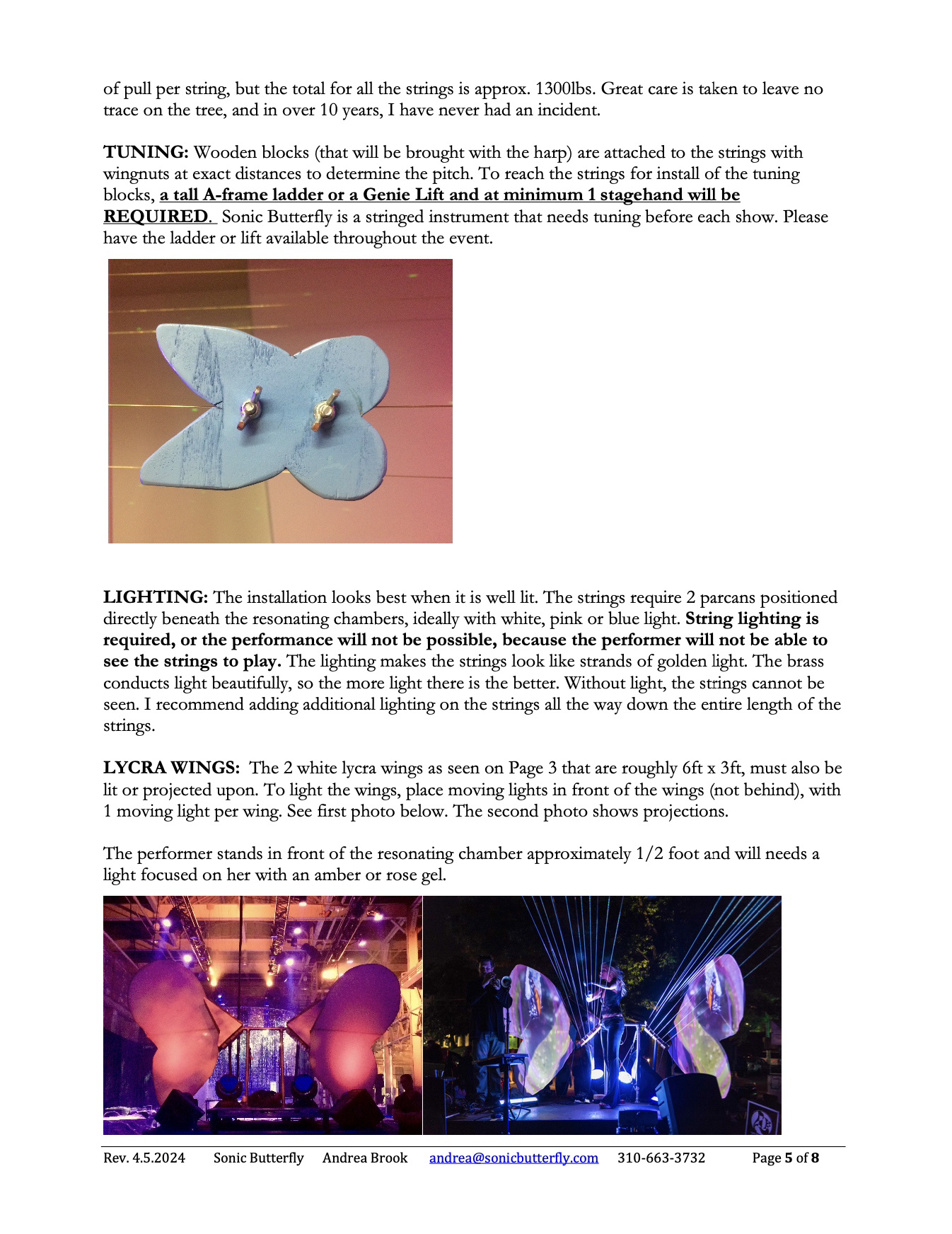 Sonic Butterfly | Sonic Butterfly